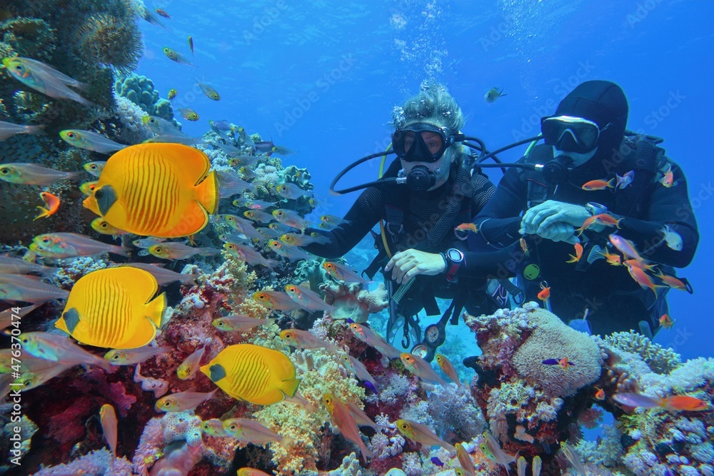 Scuba divers couple near beautiful coral reef surrounded with shoal of ...