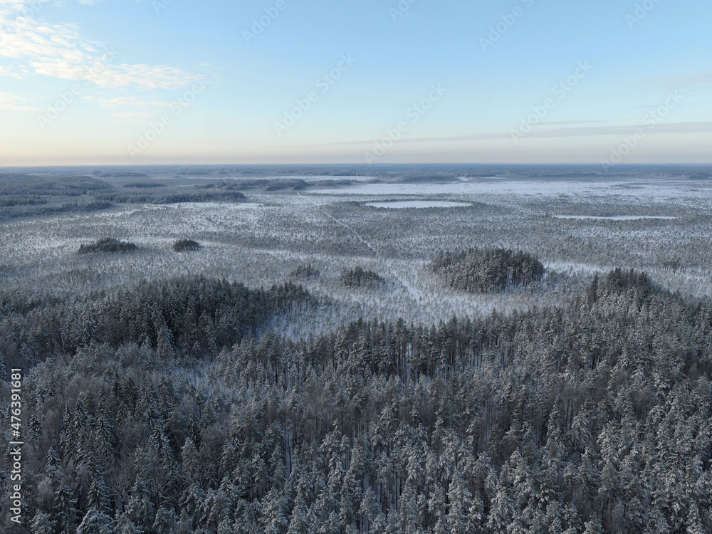 Estonian Landscape