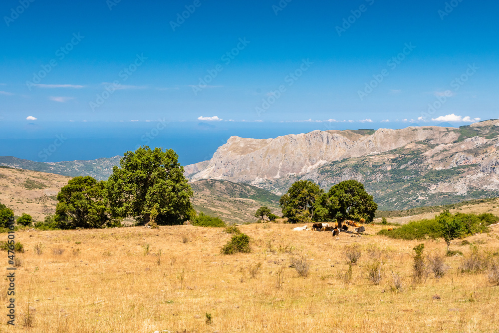 View of Rocche del Crasto near Alcara Li Fusi town in the Nebrodi Park ...