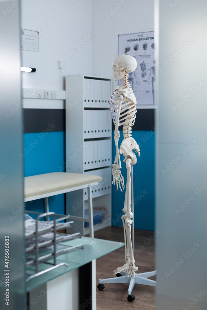 Side view of human skeleton structure standing in empty medical office ...