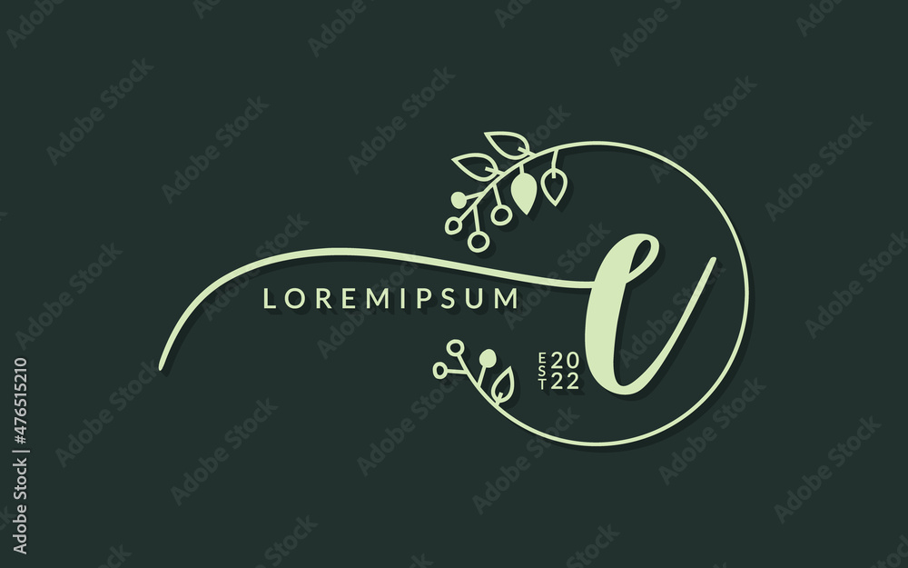 Handwritten Signature monogram Letter e calligraphic vector graphic ...