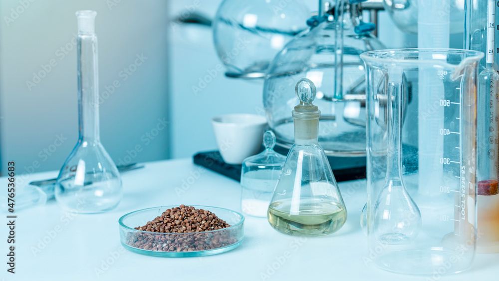 Chemical tubes, petri dishes, glass vials. Buckwheat, in the laboratory ...