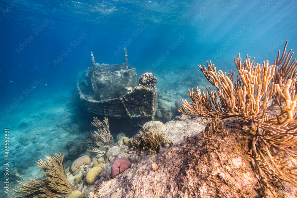 Seascape with Tugboat wreck, various fish, coral, and sponge in the ...