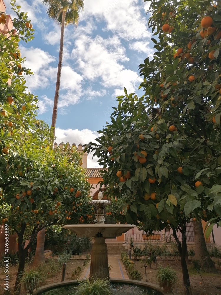 The stunning architecture and details with mosaics and arches from the ...