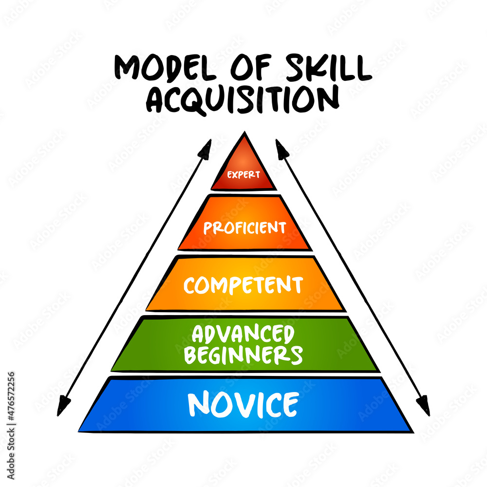 Model of skill acquisition - model of how learners acquire skills ...