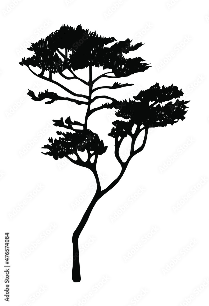 African Tree Outline