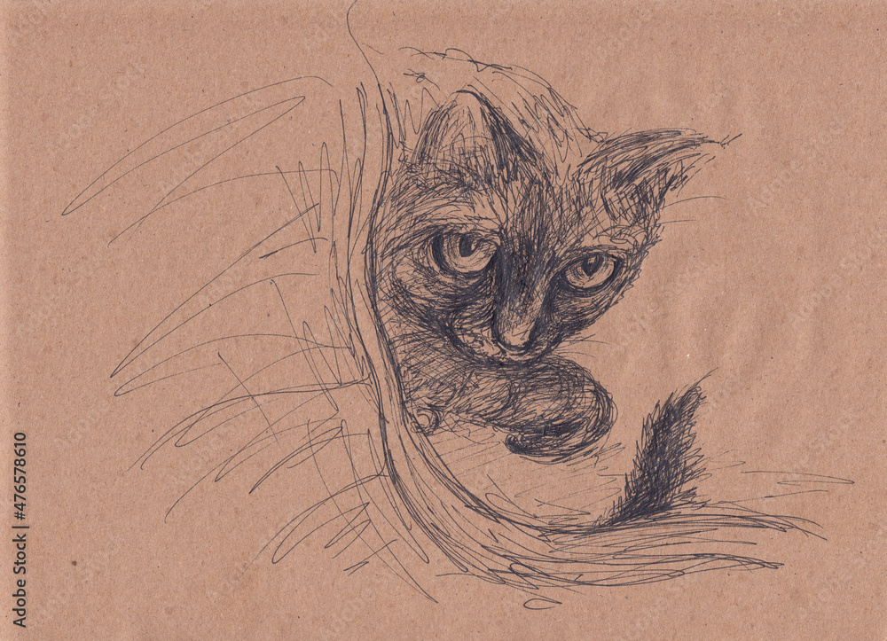 Ink Sketch Illustration Of Cat Sleeping Under Blanket Cute Domestic