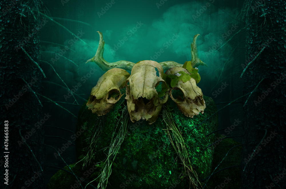 Norse paganism. Horned skulls on mossy rock in misty forest. Shamanic ...