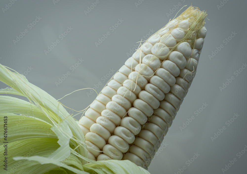 Choclo del perú Stock Photo | Adobe Stock