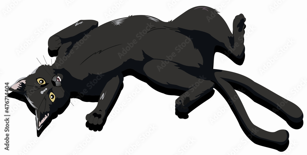 Poster black cat with two tails – Wall Art | UkPosters