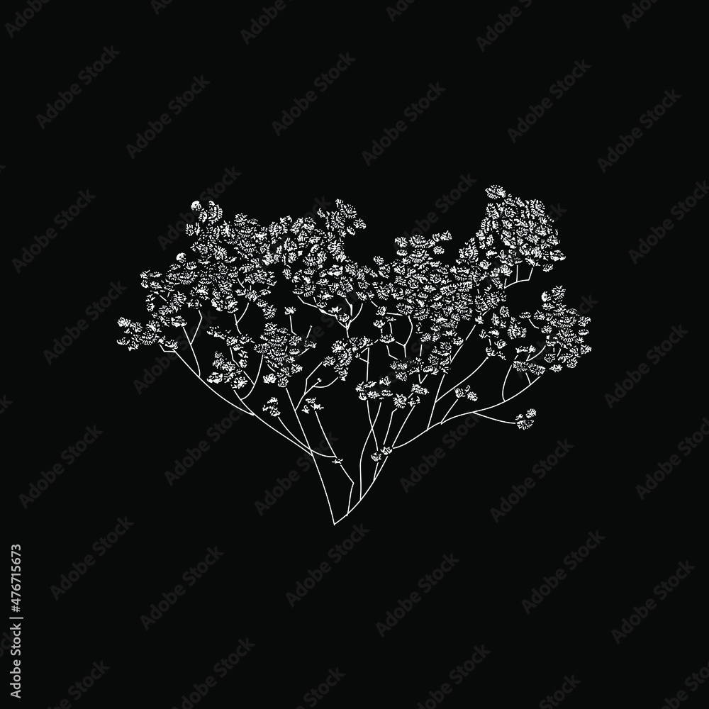babys breath flower hand drawing vector illustration isolated on black ...