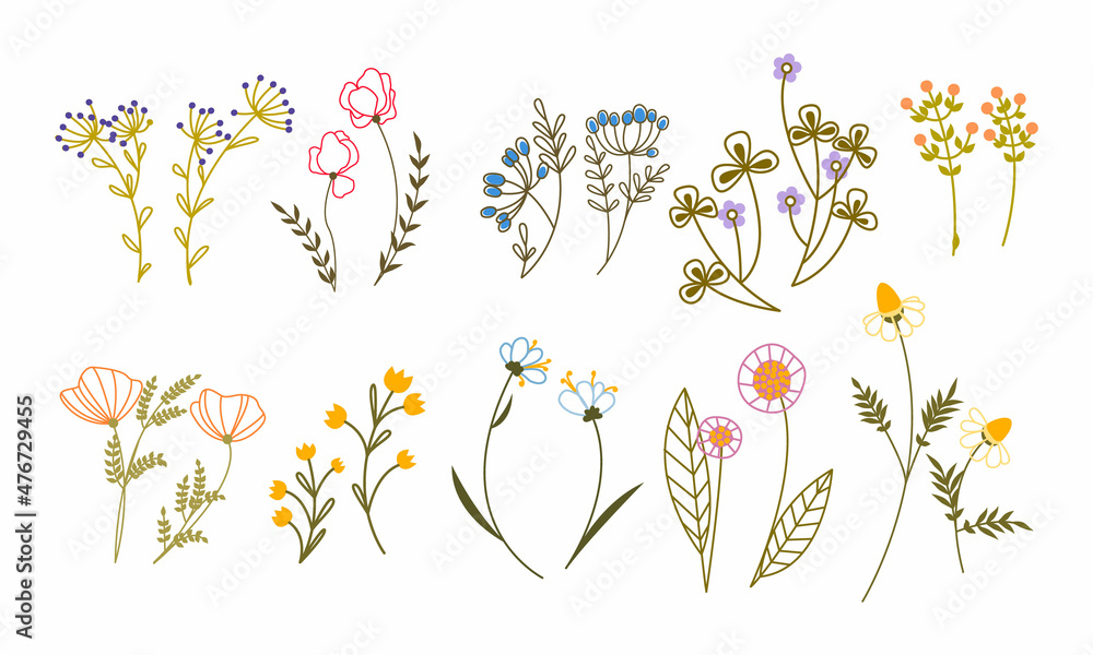 Colored line art flower set. Doodle style field and meadow plants ...