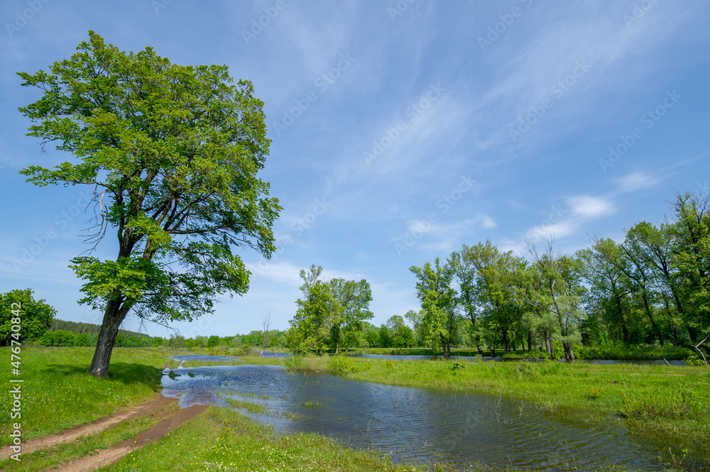 Spring photography in the river delta. European part. Spring flood of ...