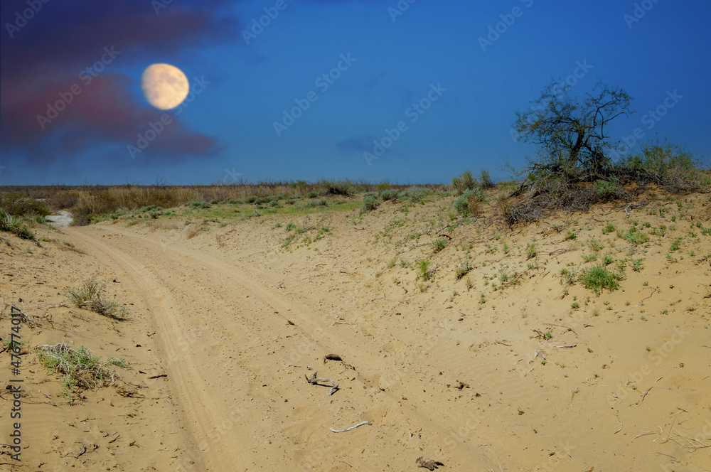 Steppe in early spring The steppe is a transitional one between the ...