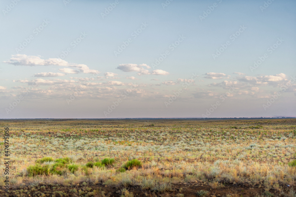 prairie, a steppe ecosystem considered part of grassland, savannah, and ...