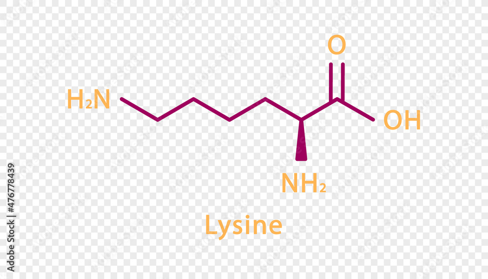 Vetor de Lysine chemical formula. Lysine structural chemical formula ...