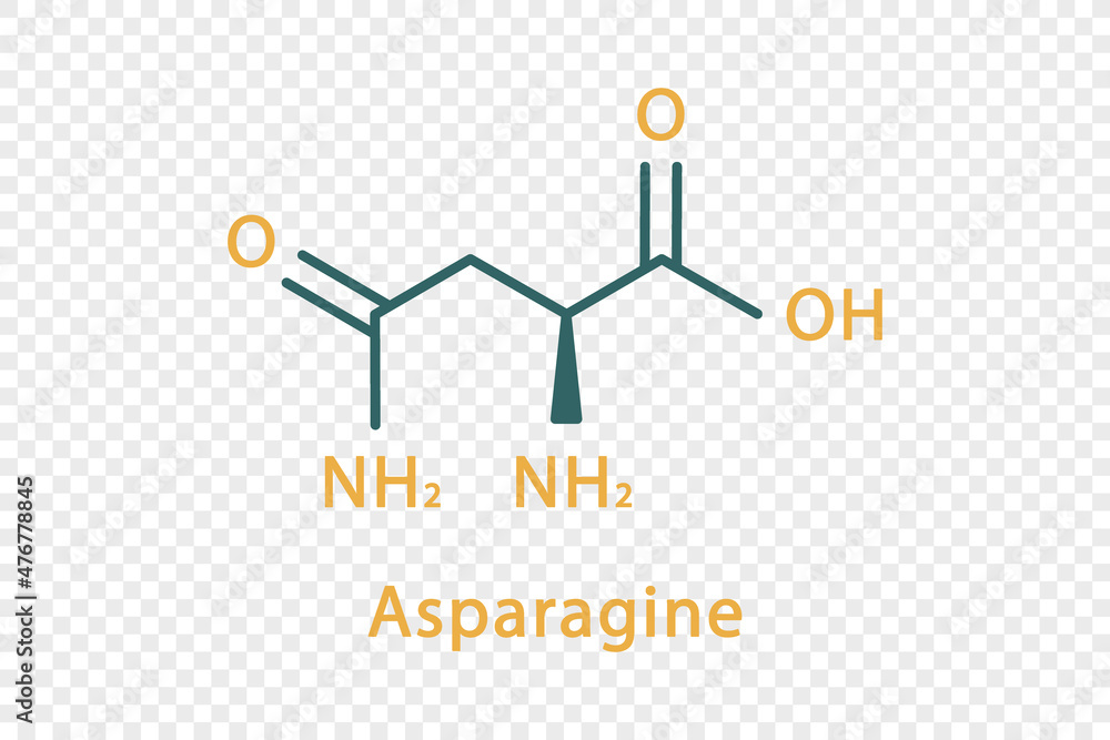 Asparagine chemical formula. Asparagine structural chemical formula ...