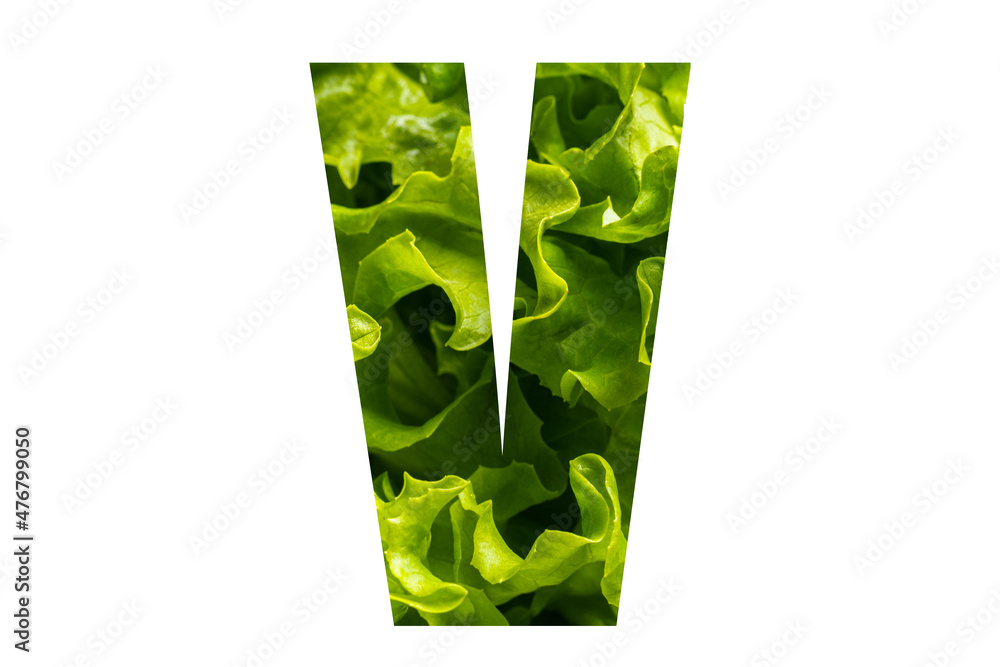Letter V of the English alphabet made from fresh green lettuce leaves ...