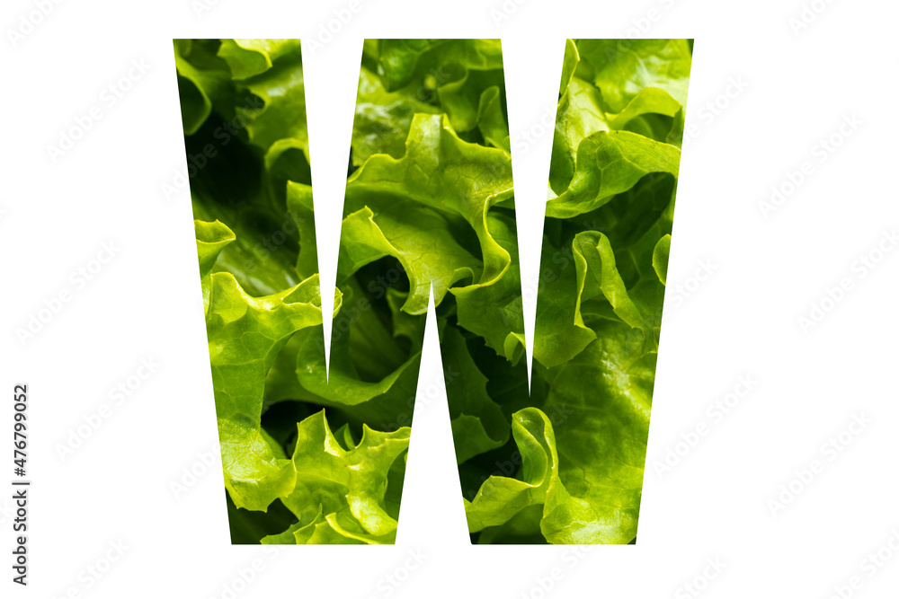 Letter W of the English alphabet made from fresh green lettuce leaves ...