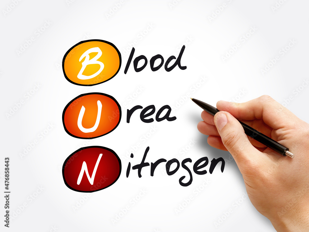 BUN - Blood Urea Nitrogen acronym, medical concept background Stock ...