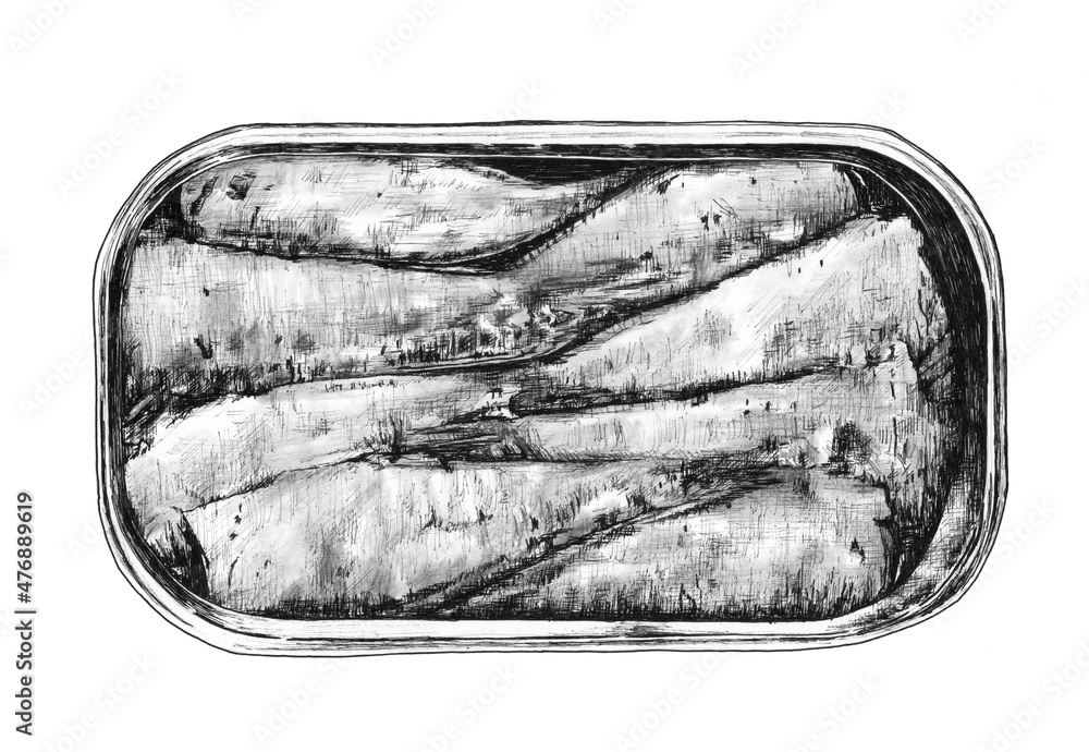 Ilustración de lata de sardinas. Dibujo en blanco y negro Stock ...