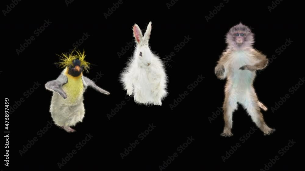 monkey and Rabbit, penguin Dancing, 3d rendering, Animation Loop ...