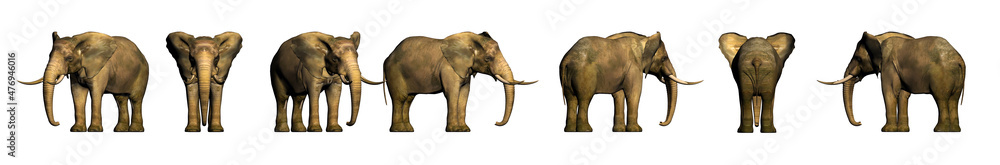 3d elephant view from different angles | 3d animal | elephant matte ...