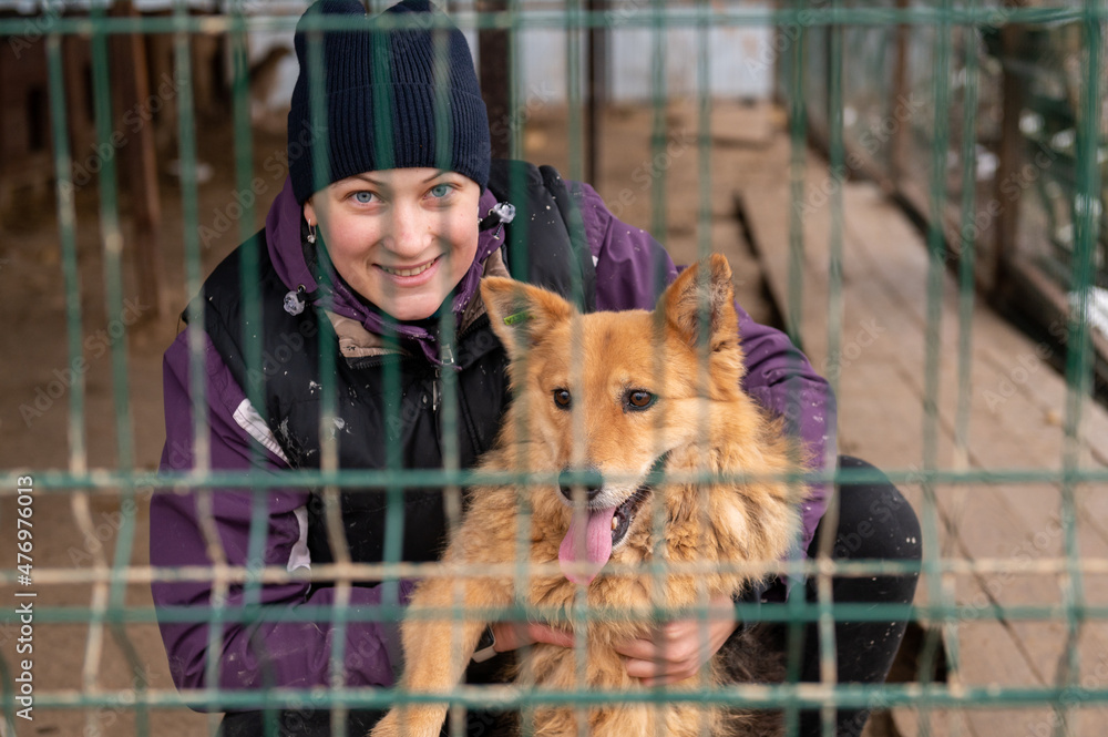 Volunteer in the nursery for dogs. Woman volunteer in a cage with a ...
