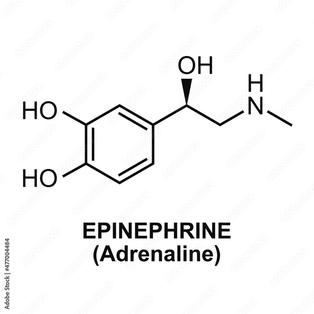 Vector skeletal formula illustration of epinephrine (adrenaline) symbol ...
