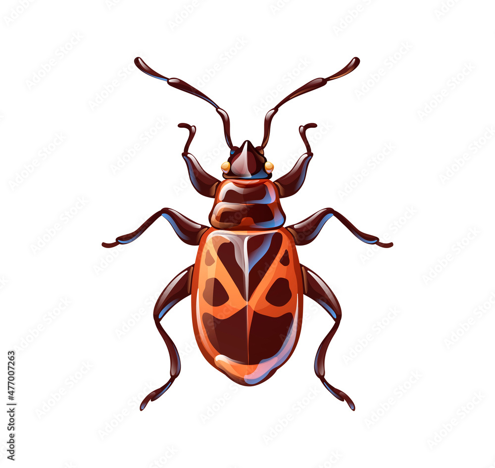 Cute firebug in cartoon style, vector illustration Stock Vector | Adobe ...