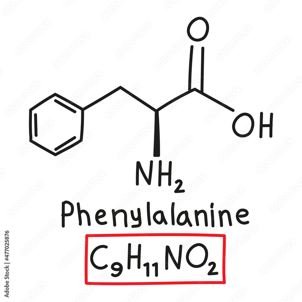 Hand drawn chemical molecular formula of amino acid phenylalanine in ...