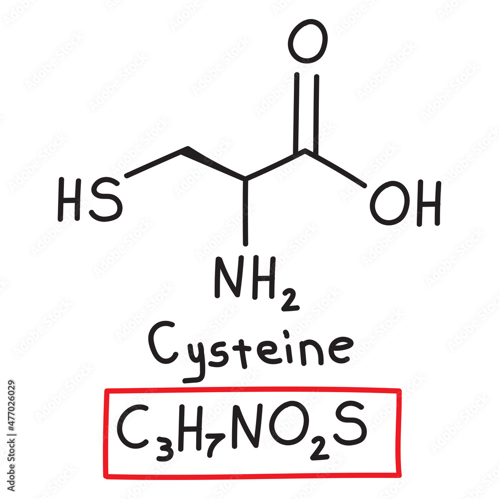 Hand drawn chemical molecular formula of amino acid Cysteine in doodle ...