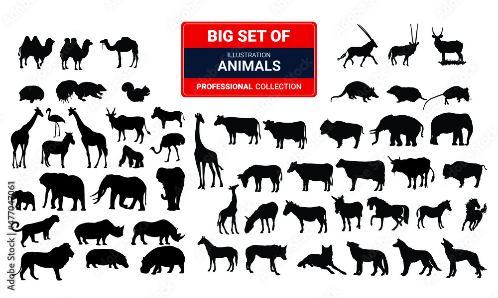 Big set of animals vector collection Stock Vector | Adobe Stock