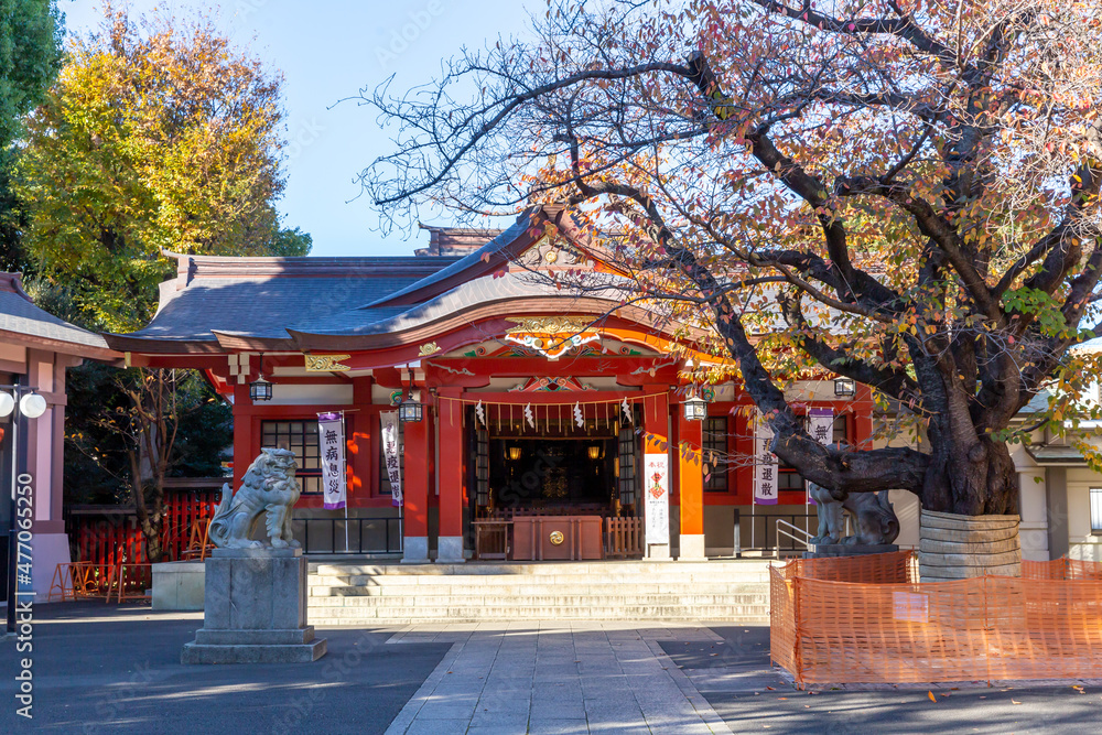architecture of red main shrine of hatagaoka hachiman shinto shrine in ...