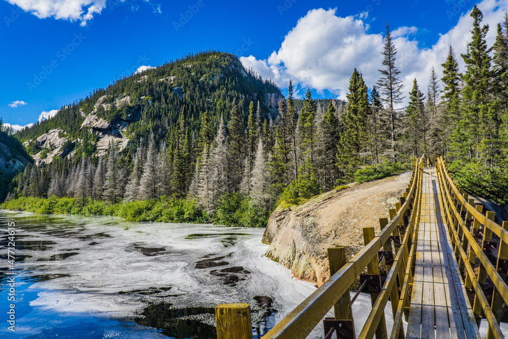 Footbridge over the river MacDonald, with the mountain in the ...