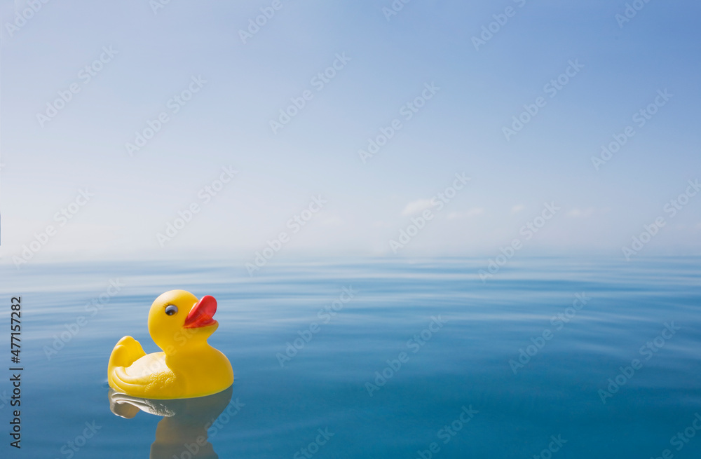 Rubber duck floating on calm water surface Stock Photo | Adobe Stock