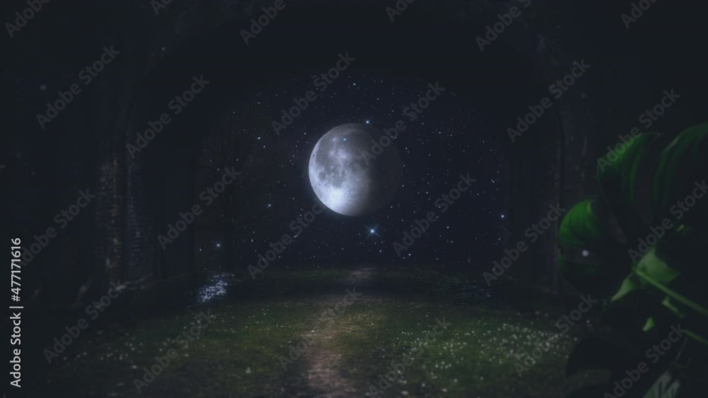 Moon In Starry Space View From Arch, Moon Phases Zoom in. Moon phases ...