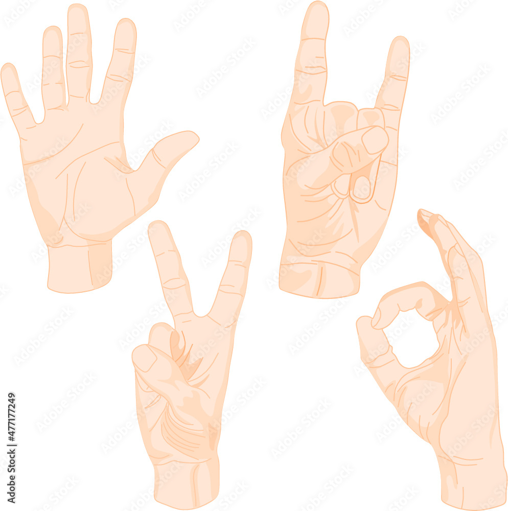 Grupo de diferentes manos de hombre blanco caucásico en distintas ...