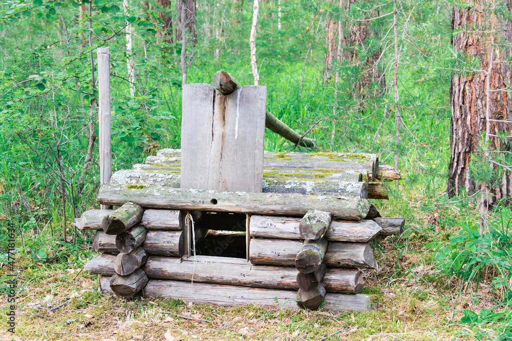 Ancient trap for animals made of logs in a summer forest. Life of ...