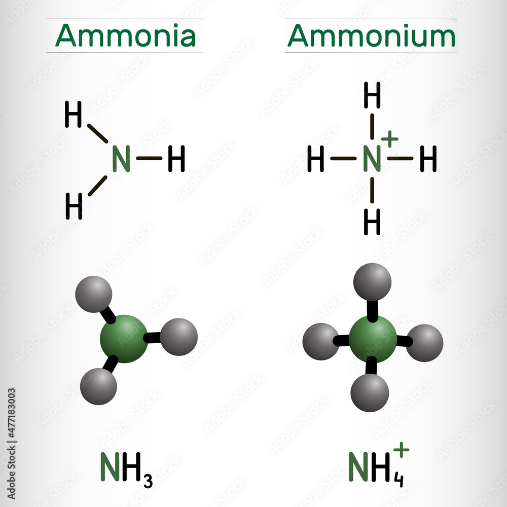 Fototapeta kuchenna Ammonium cation, NH4 and ammonia, NH3 molecule ...