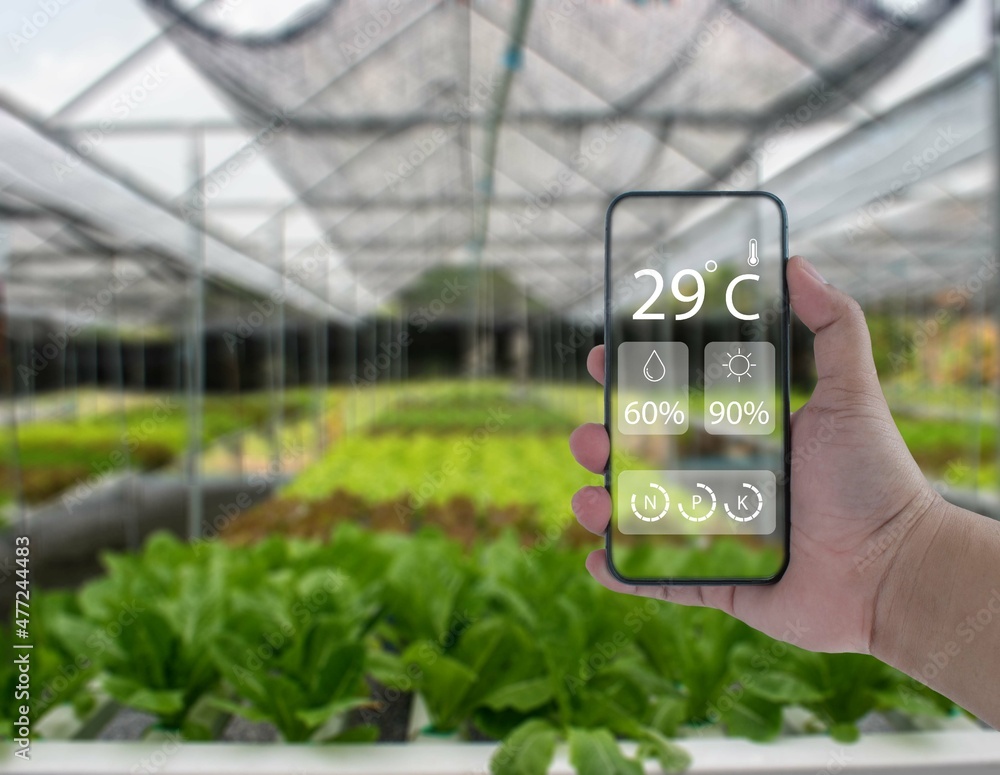Smart farming digital technology agriculture app. Mobile phone with ...