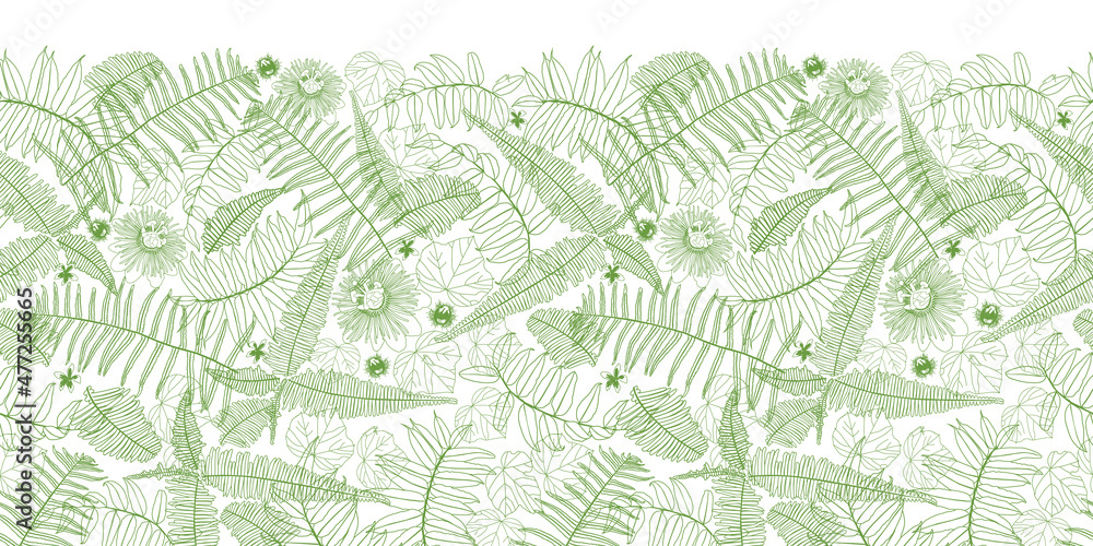 Vector white horizontal border fern leaves pattern. Perfect for posters ...