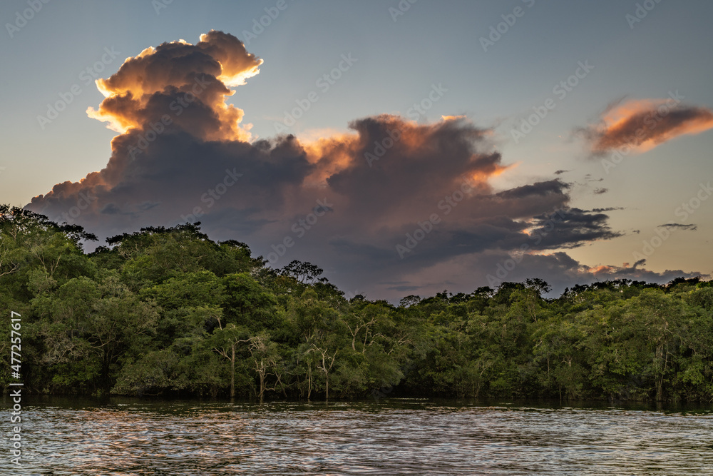 Reflection of a sunset by a lagoon inside the Amazon Rainforest Basin ...