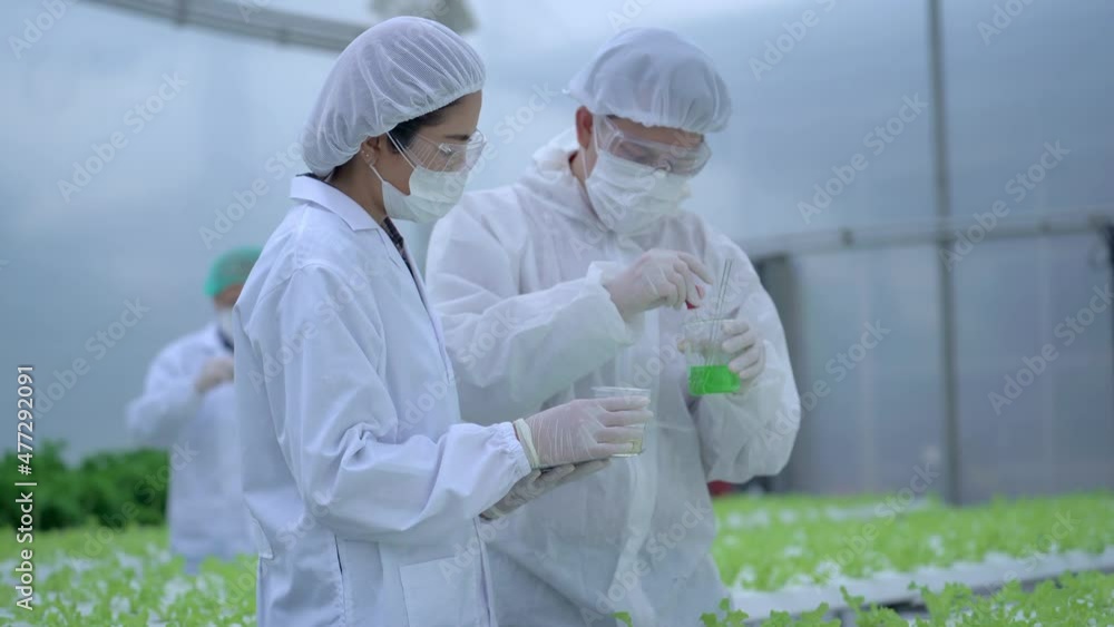 Scientist checking and testing water chemical for feeding a plant ...