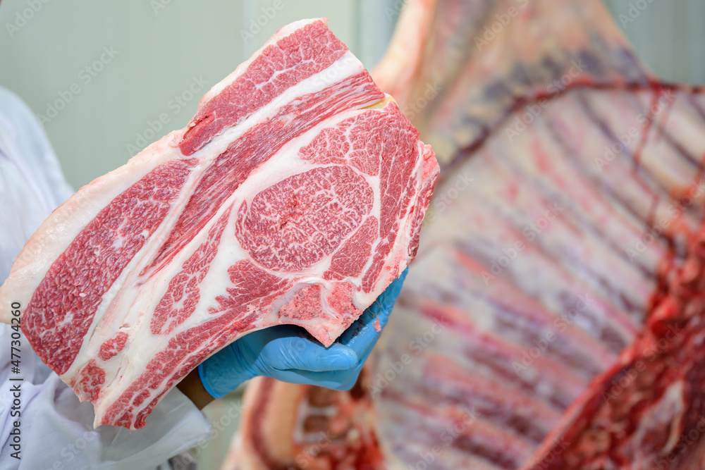 Close-up of A5 Wagyu beef marble pattern In the slaughterhouse where ...
