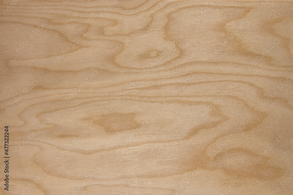 wood texture - puffed birch Stock Photo | Adobe Stock