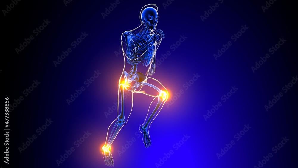 Human skeleton joint pain Anatomy For Medical Concept 3D Stock ...