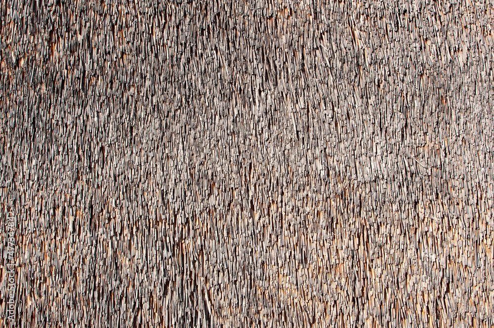 Reed background Stock Photo | Adobe Stock