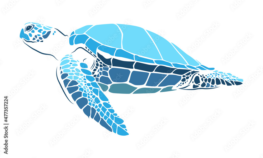 graphic sea turtle,vector illustration of sea turtle,vector of turtle ...