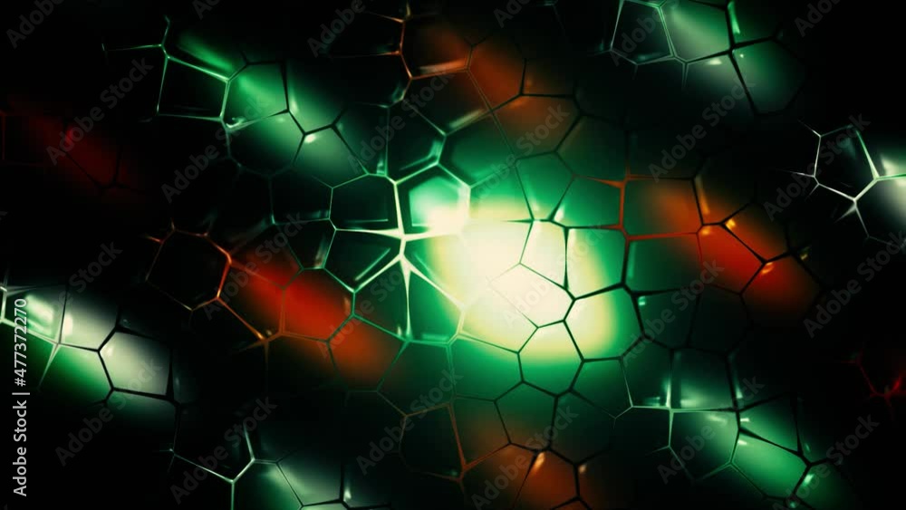 Chloroplast under a microscope, cell division. Motion. Abstract ...